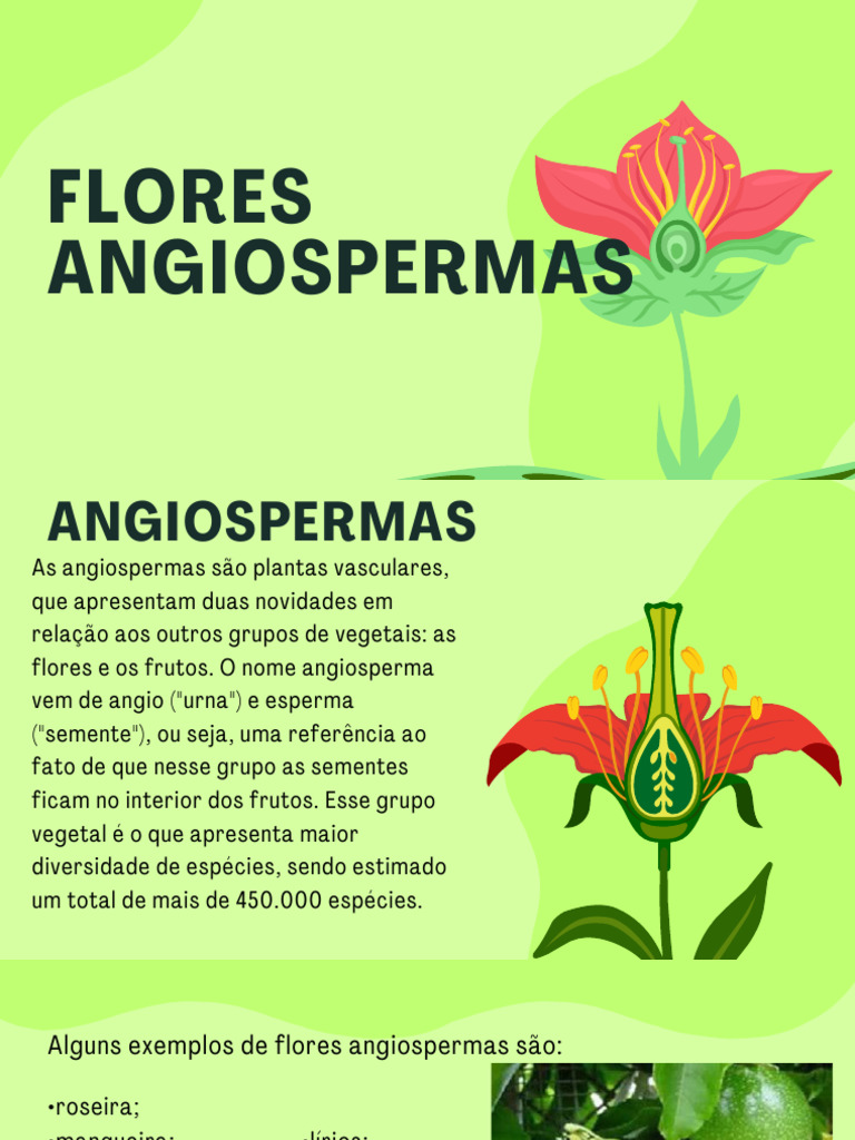 flores angiospermas | PDF | Flores | Pólen