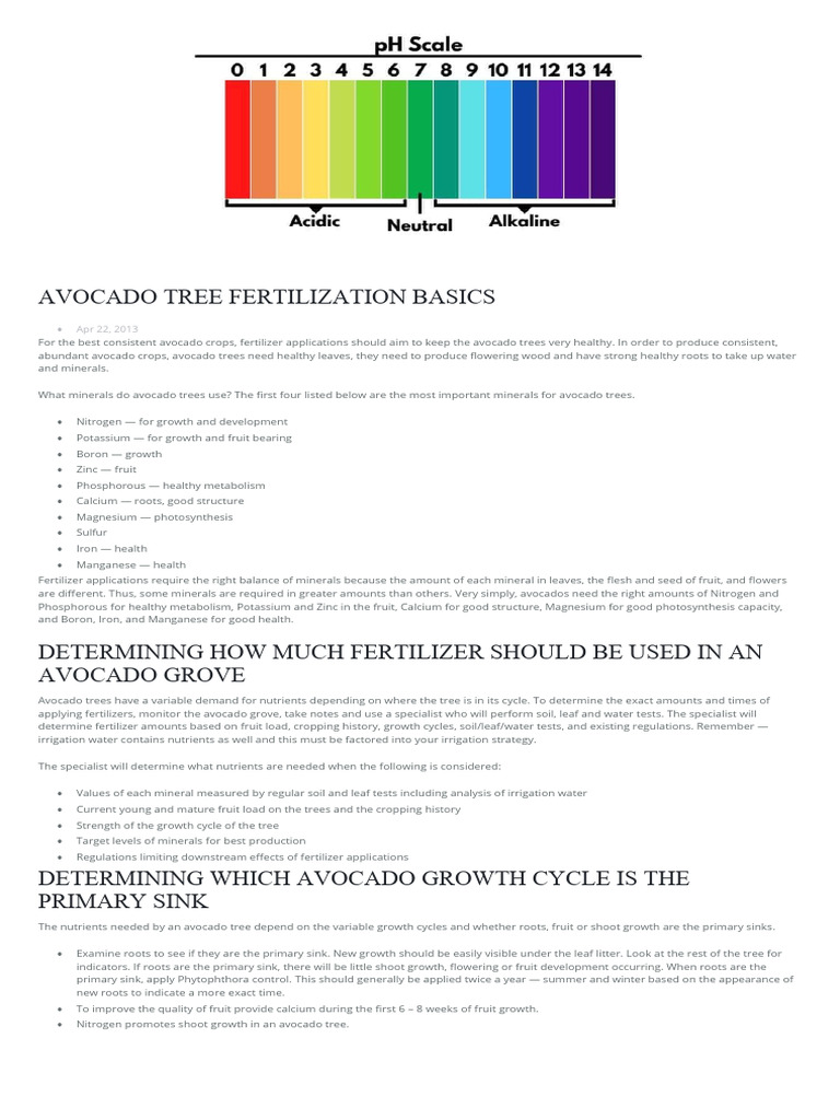Avocado Tree Fertilization Basics | PDF | Plant Nutrition | Fertilizer