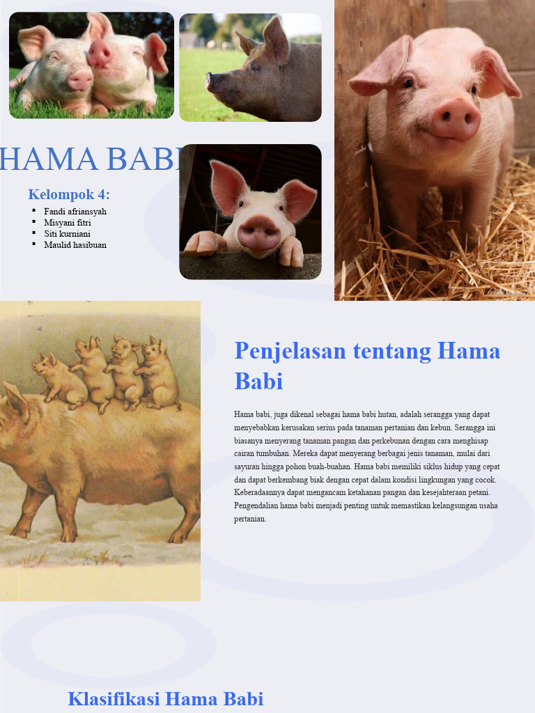 Penjelasan Tentang Hama Babi | PDF