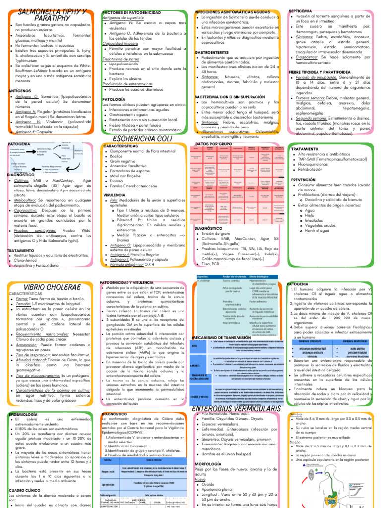 Micro Teoria Digestivo | PDF | Salmonela | Diarrea