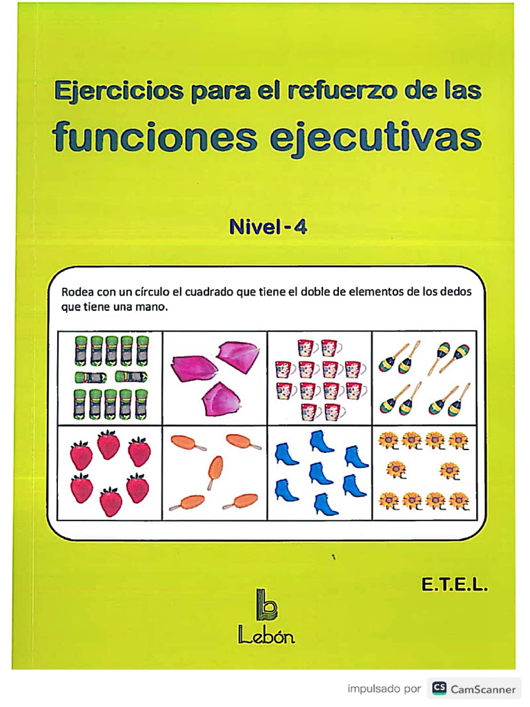 Funciones Ejecutivas Nivel 4 | PDF