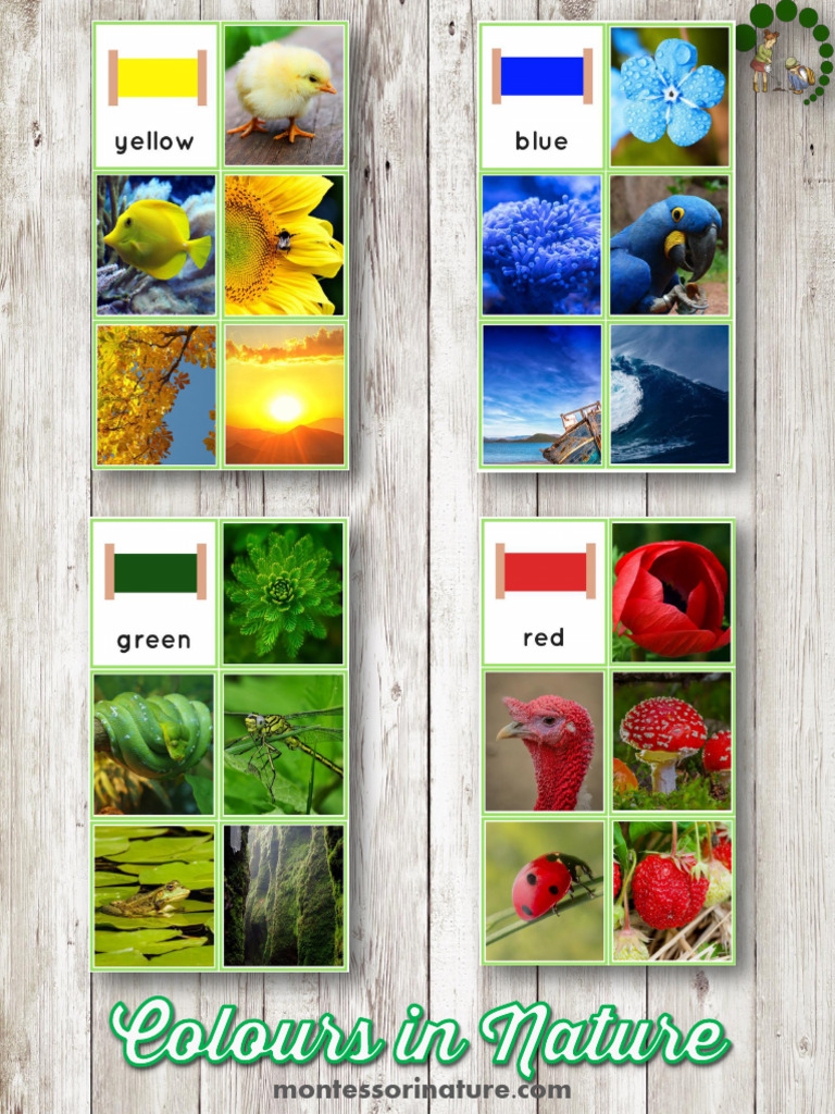 Colours in Nature Montessori Nature | PDF | Montessori Education