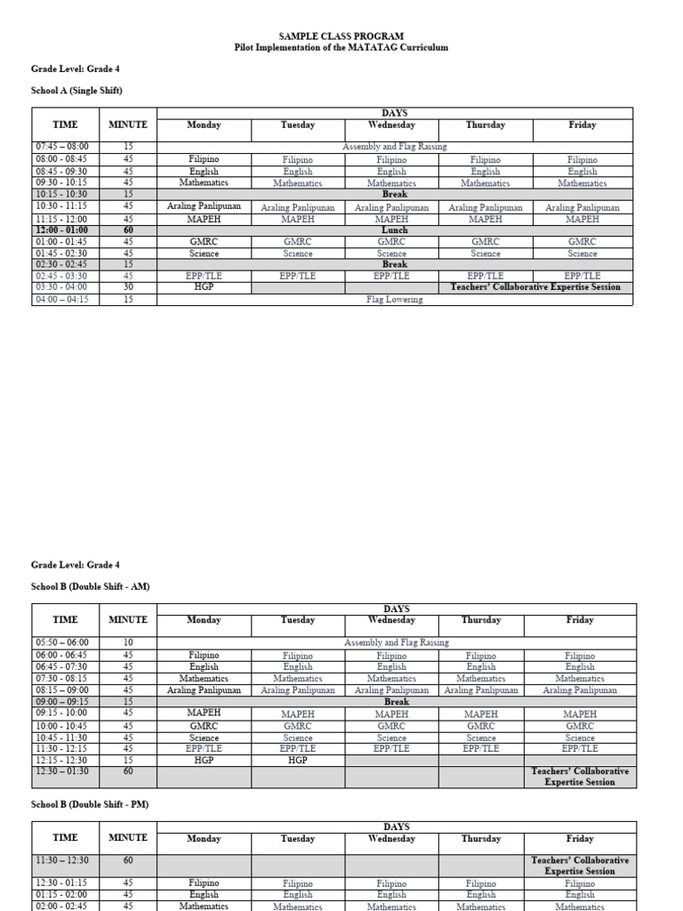 Sample-Class-Programming MatatagCurr G4-7 v3 | PDF