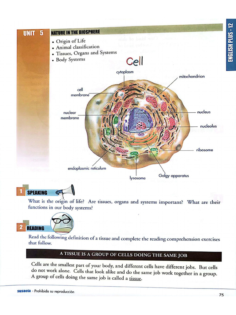 El Cuerpo Humano Pdf