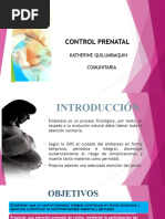 Control Prenatal GPC 2016 MSP | PDF | El embarazo | Parto prematuro