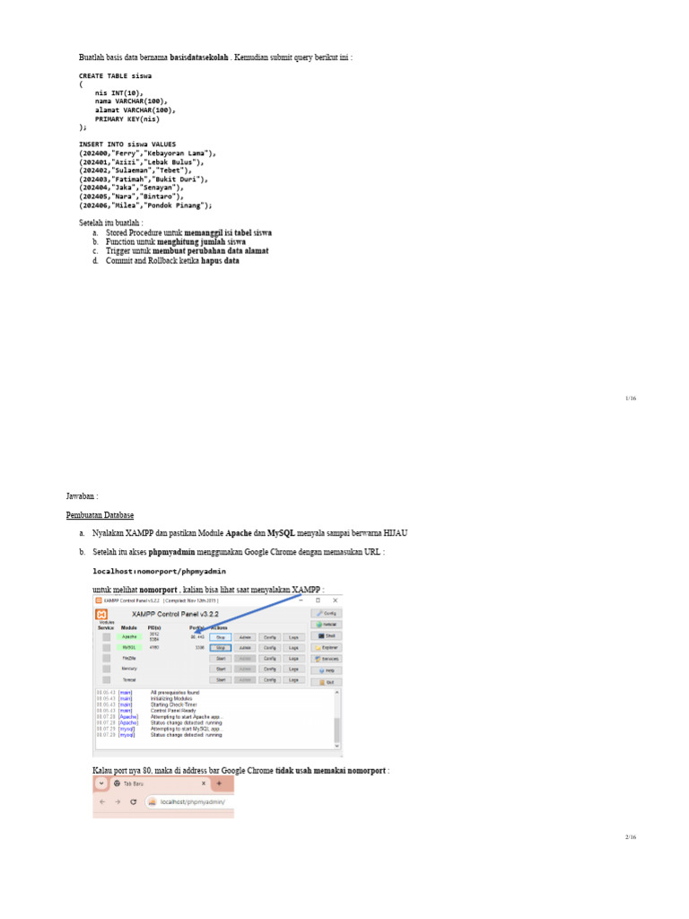 Latihan Pemrograman Dasar Basis Data | PDF
