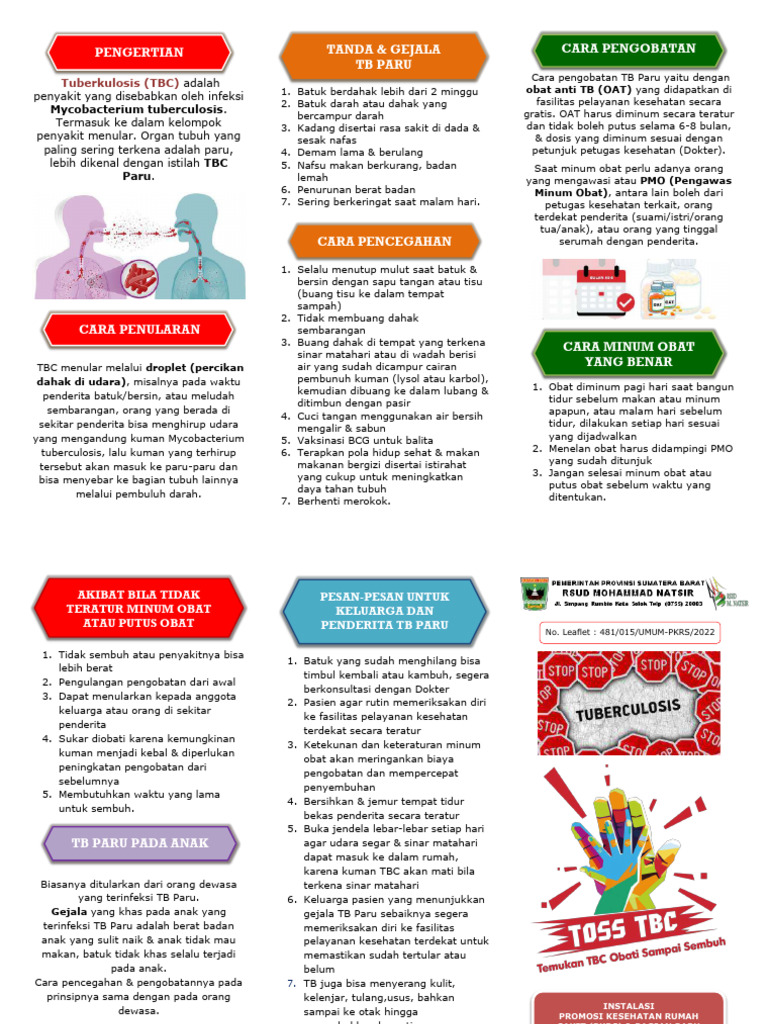 Promosi Kesehatan Melalui Leaflet 2 Compressed | PDF