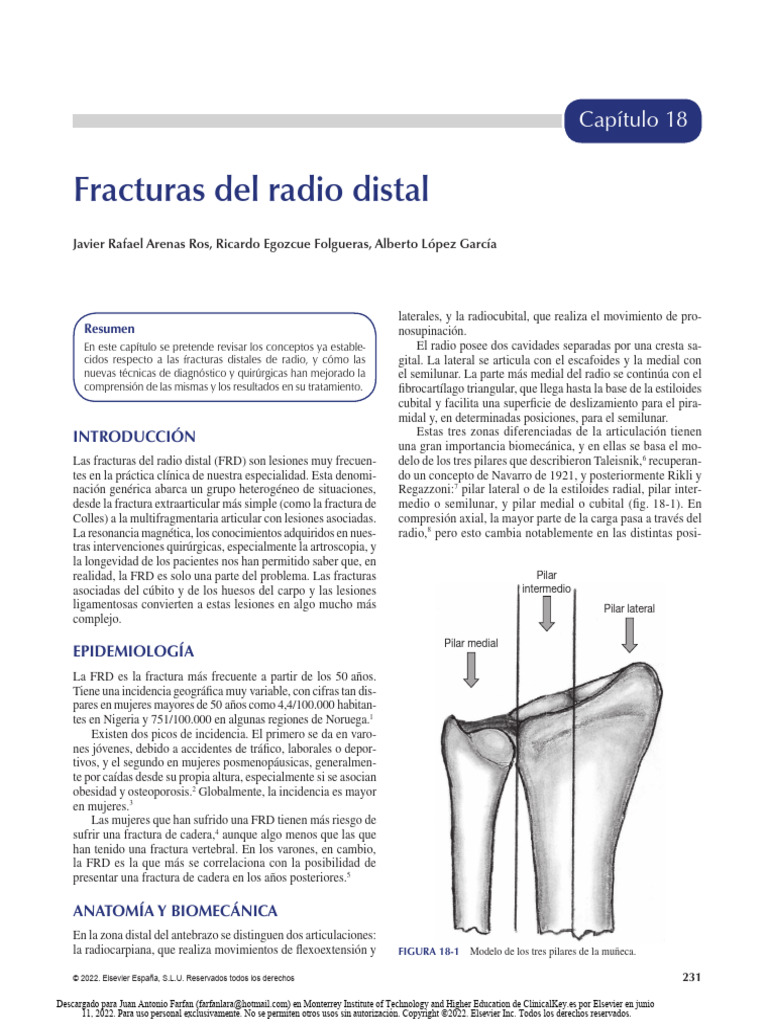 Fracturas Del Radio Distal | PDF | Ct Scan | Extremidades (anatomía)