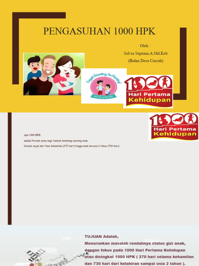 Pengasuhan 1000 HPK | PDF