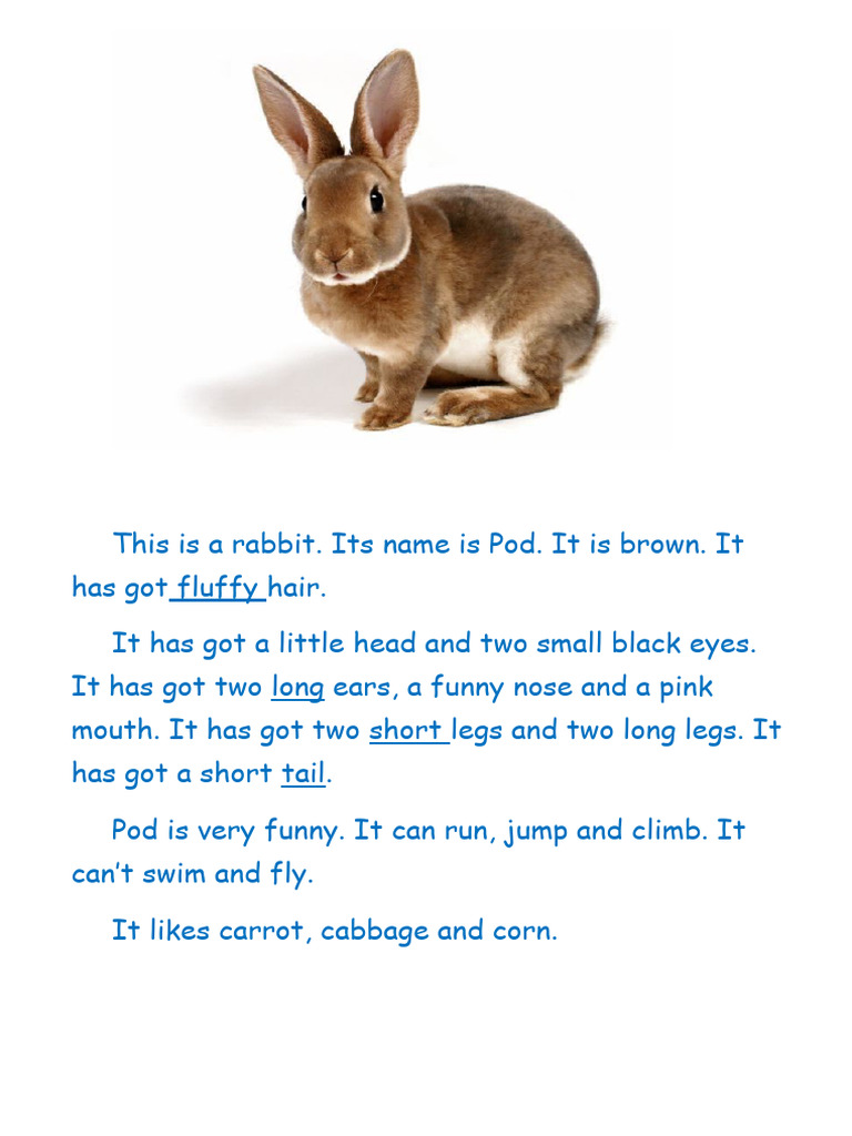 Describing A Pet Picture Description Exercises Reading Comprehensio ...