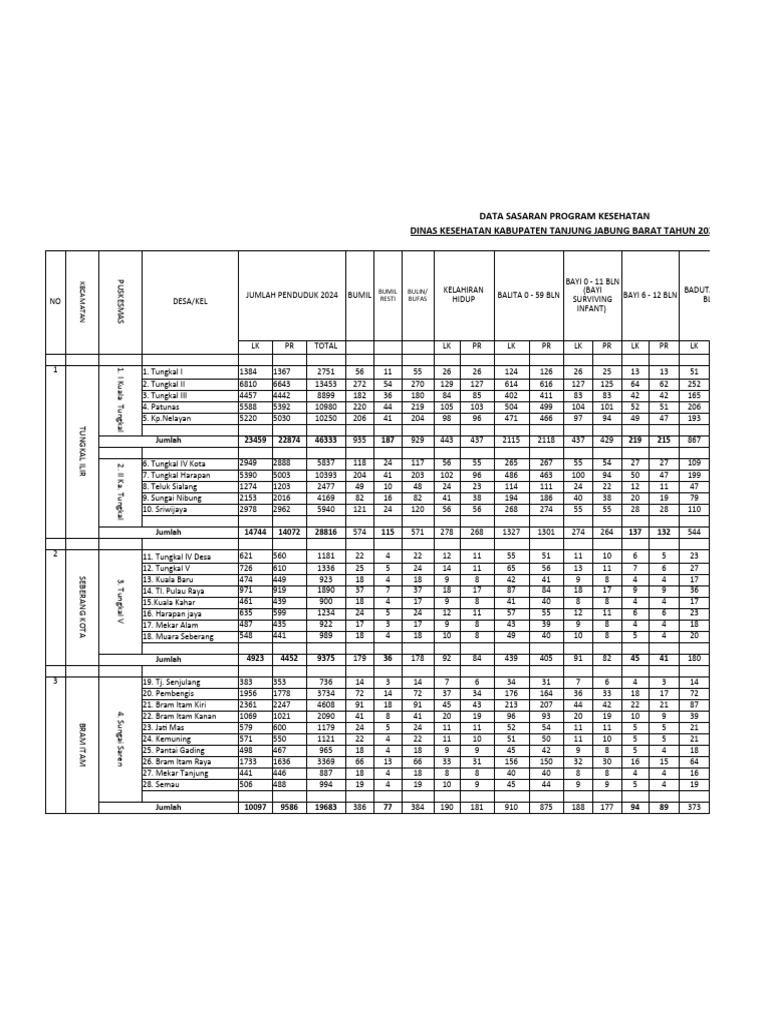 Data Sasaran Program 2024 Terbaru | PDF