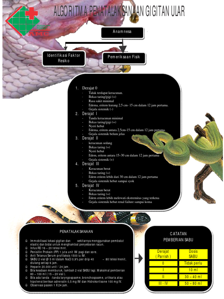 ALGORITMA Gigitan Ular | PDF