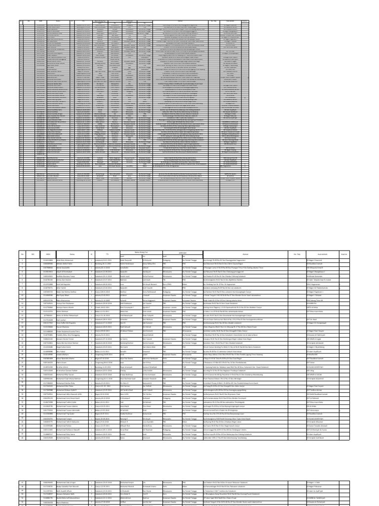 Biodata Anak Bru SMP | PDF