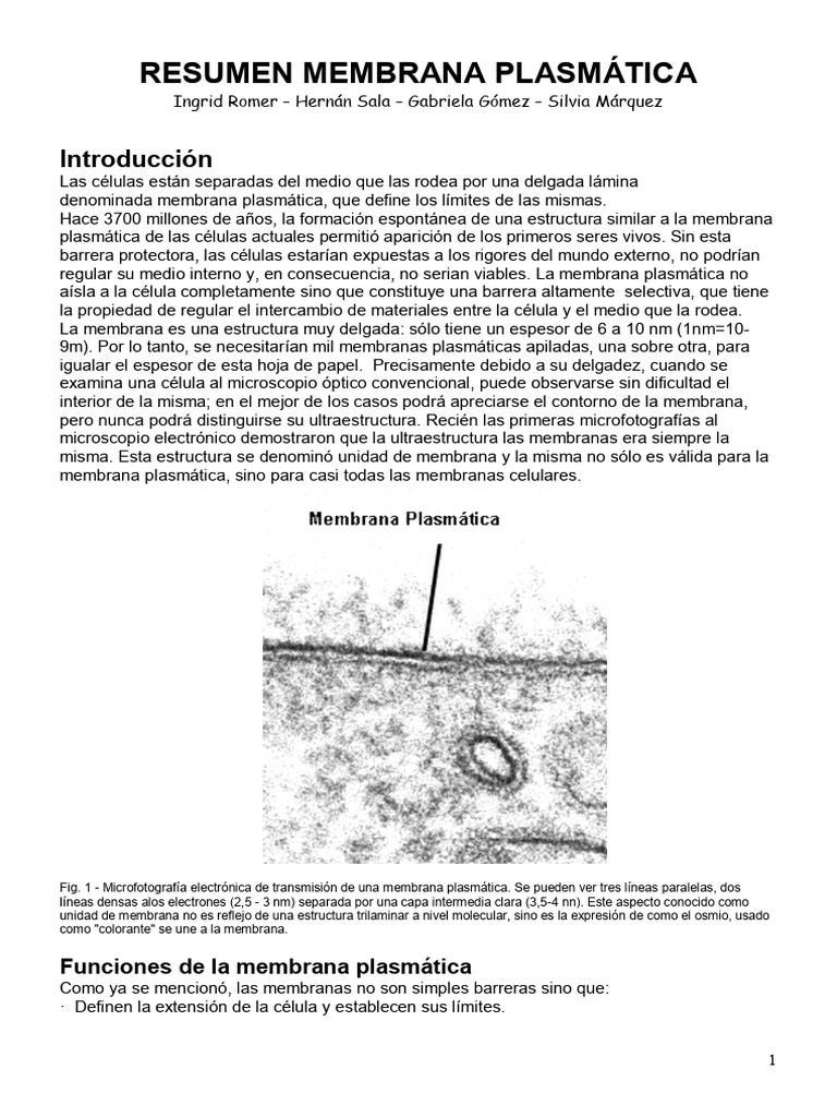 Resumen Membrana Plasmã Tica 2024 | PDF | Membrana biológica | Membrana celular