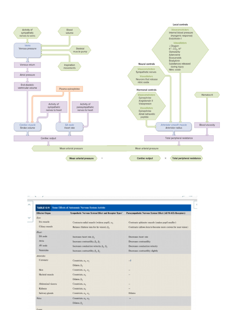 Print Out - Physio Final | PDF
