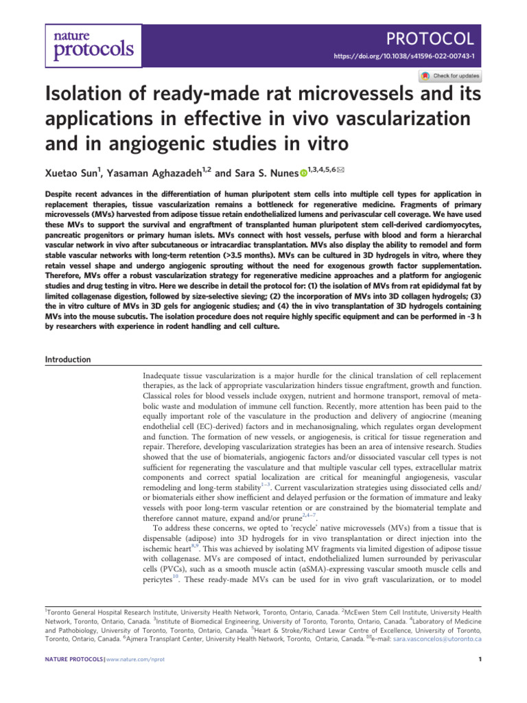 Isolation Nature Protocol Xs 2022 | PDF | Angiogenesis | Blood Vessel