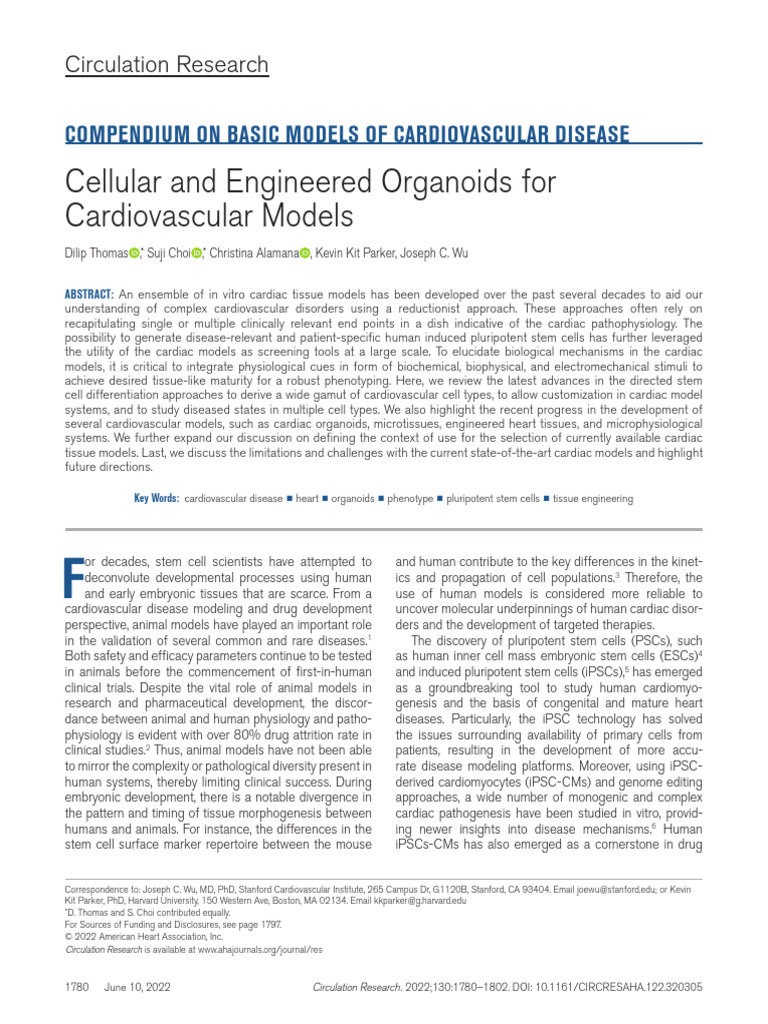 Cellular and Engineered Organoids For Cardiovascular Models | PDF ...
