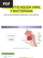 GPC Faringoamigdalitis Aguda IMSS-73-08 | PDF | Medicina | Enfermedades ...