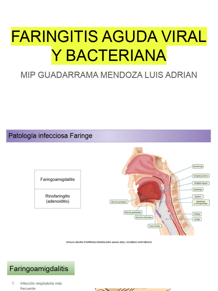 Faringitis Bacteriana y Viral | PDF | Enfermedades y trastornos ...