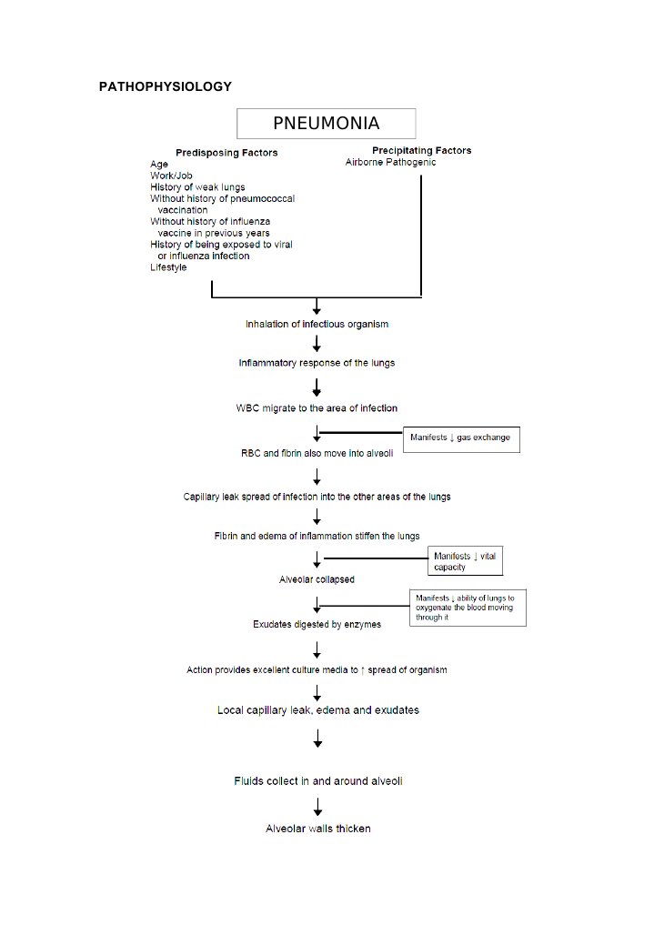 Pathophysiology of Pneumonia | PDF