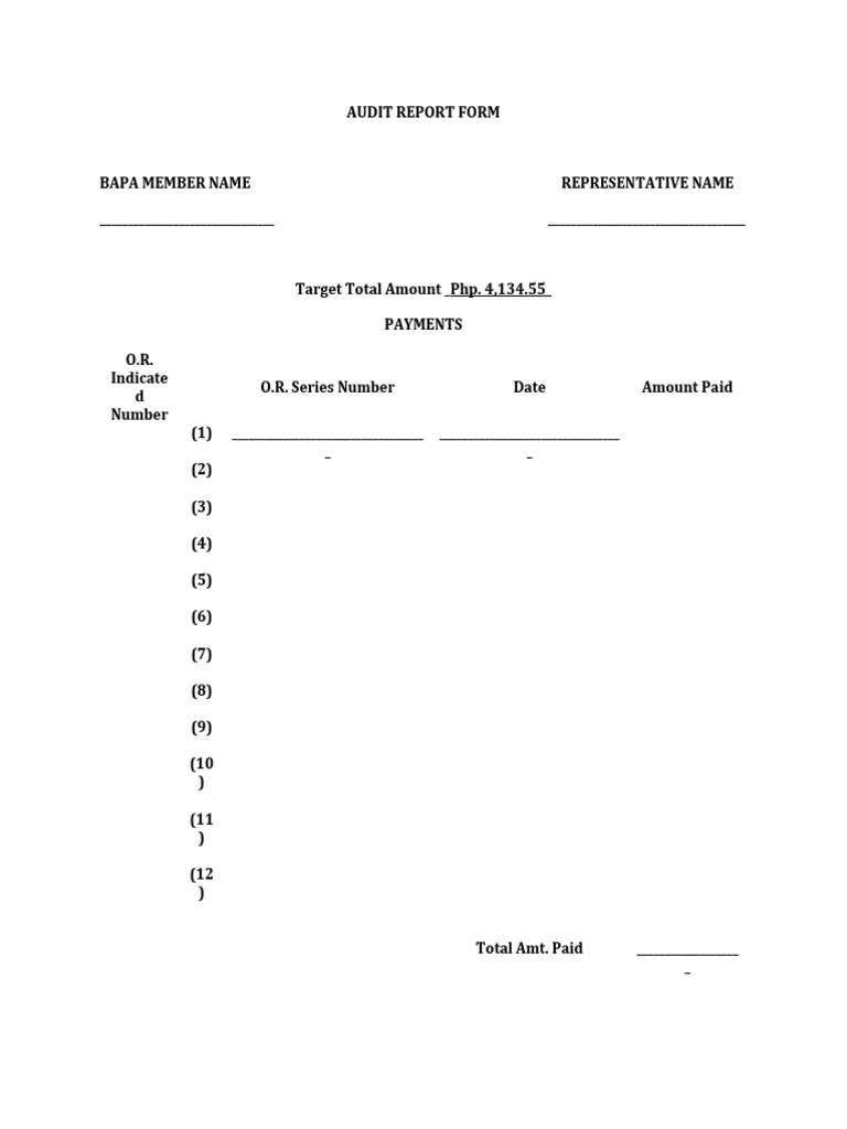 AUDIT_REPORT_FORM[1] | PDF