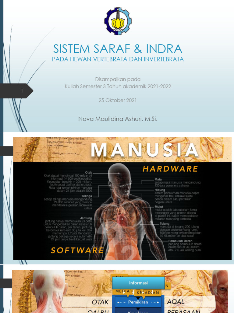 Fungsi Akson dalam Sistem Saraf | PDF | Sains & Matematika