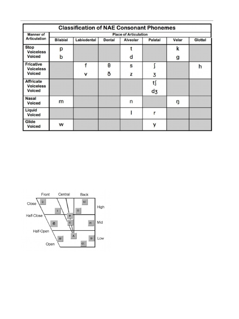 Consonants and Vowels | PDF