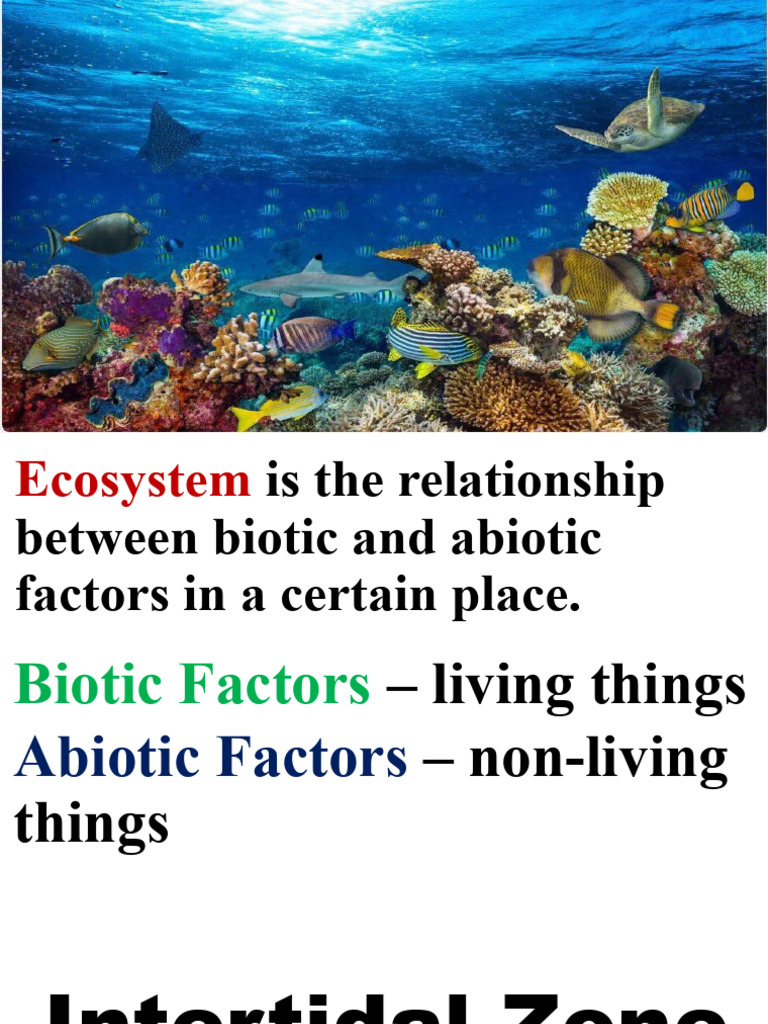 Protecting Intertidal Zones & Estuaries | PDF