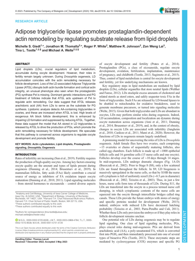 Giedt MS Et Al (2023) - ATGL and Prostaglandins Production | PDF ...