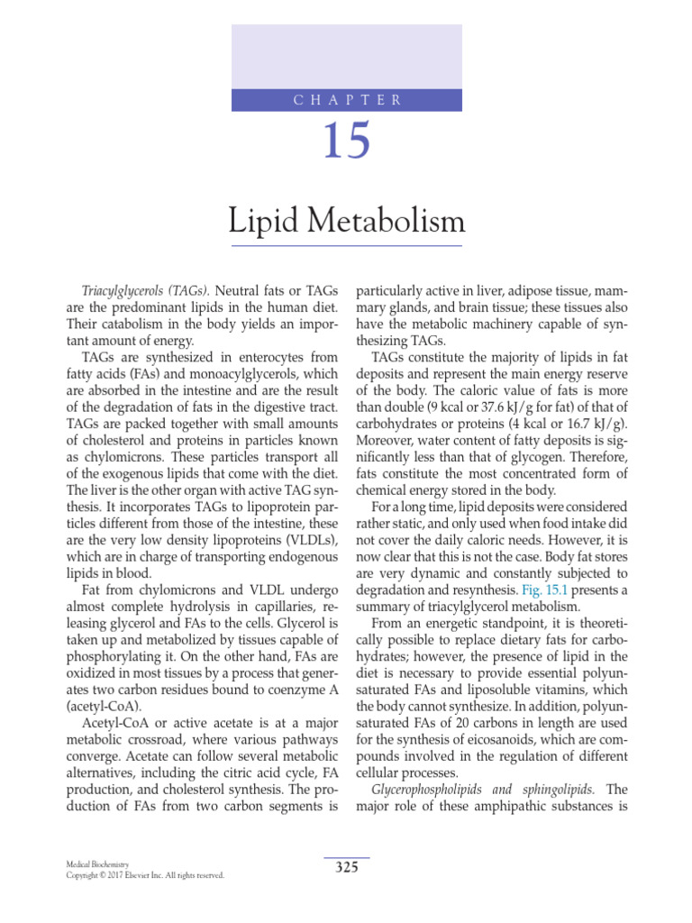 Lipids Metabolism | PDF | Lipoprotein | Cholesterol