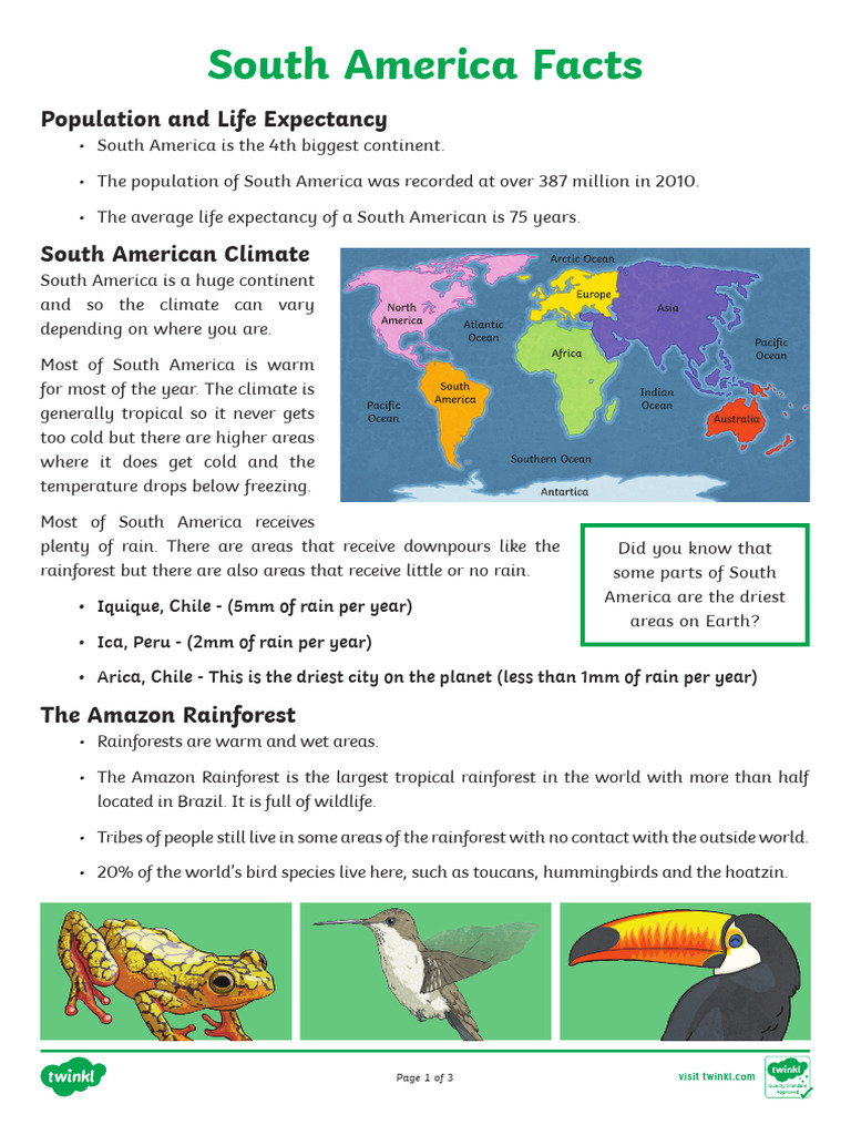 South America Information Pack | PDF | Rainforest | Andes