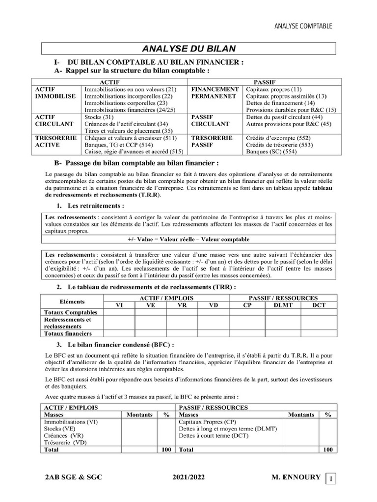 Analyse Bilan | PDF