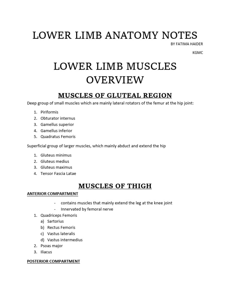 Lower Limb Complete | PDF | Foot | Human Leg