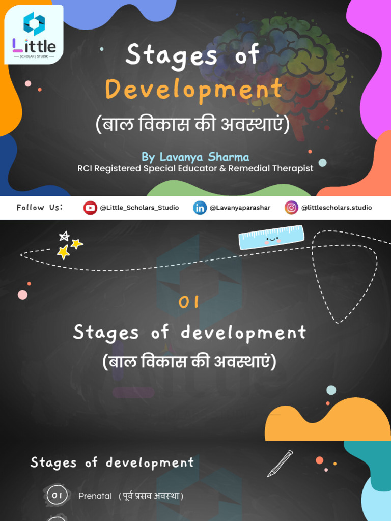 Stages of Development Notes | PDF
