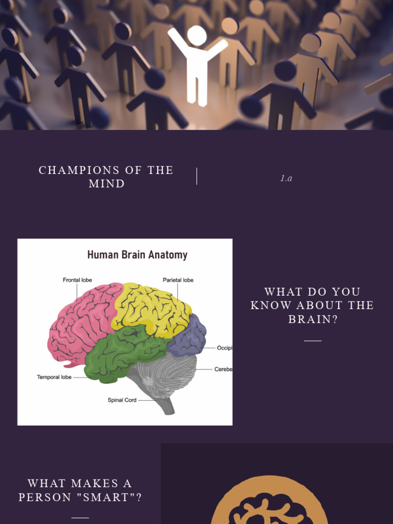 Champions of The Mind&Sports | PDF | Association Football | Athletic Sports