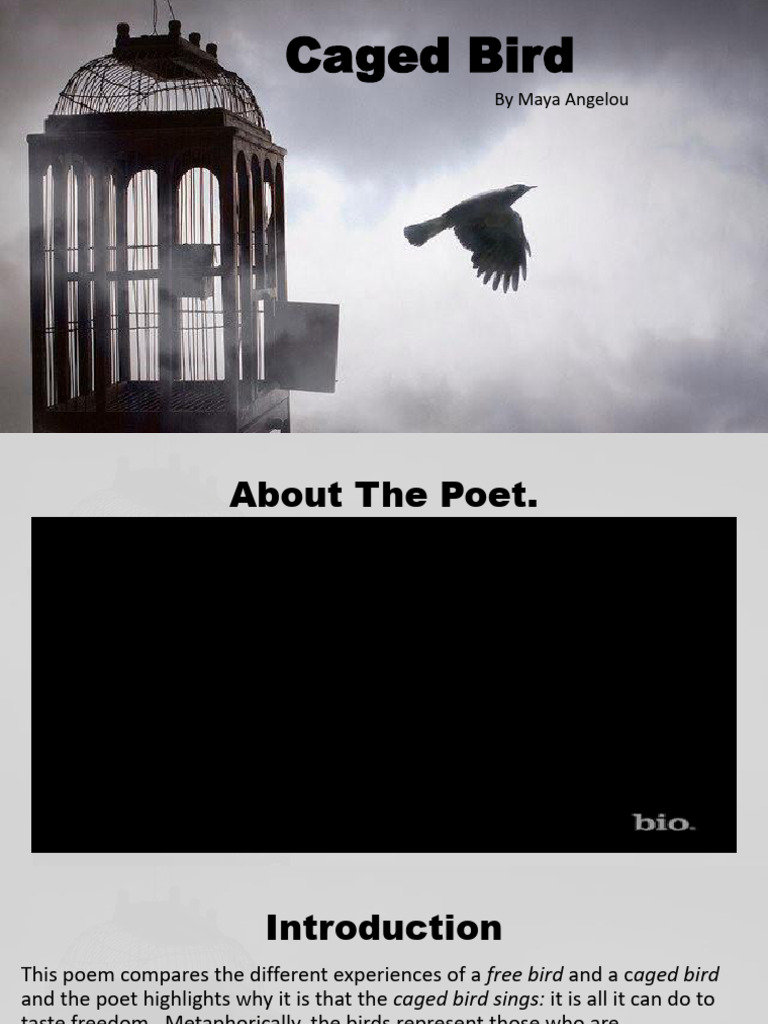 Caged vs. Free Bird: A Poetic Contrast | PDF | Identity Politics ...