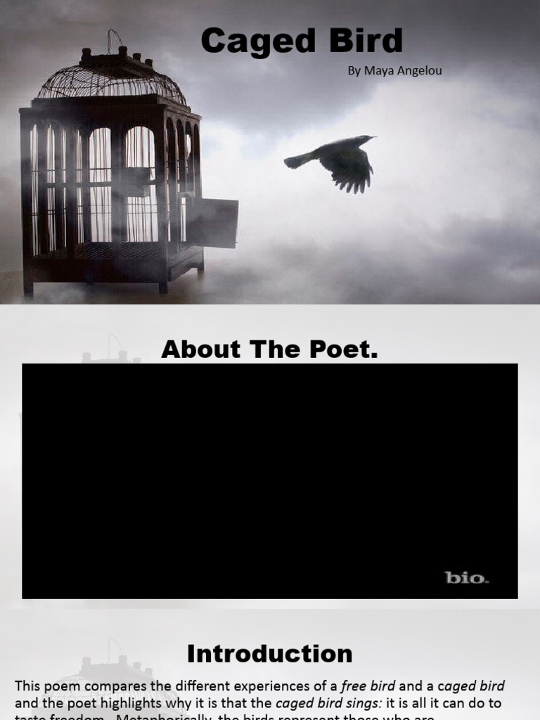 Caged Bird Complete Powerpoint | PDF | Politics And Race ...