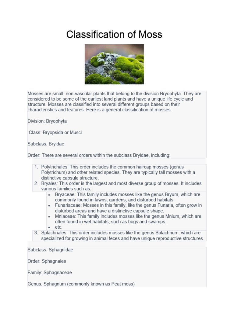 Classification of Moss | PDF