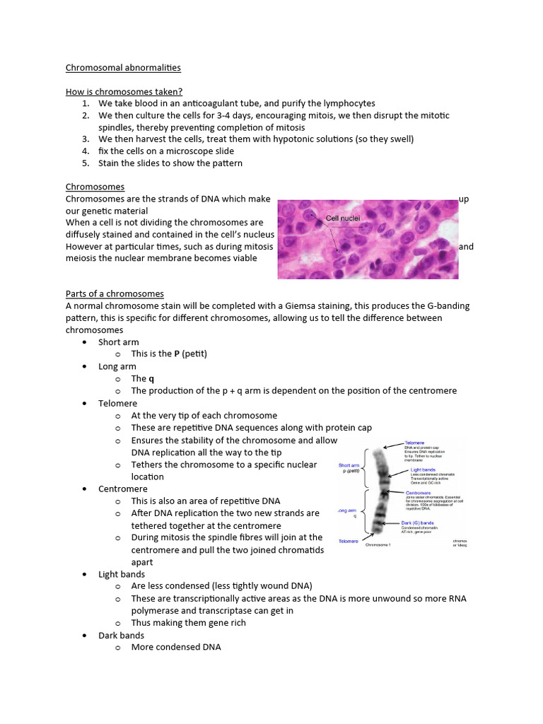 Understanding Chromosomal Abnormalities | PDF | Fluorescence In Situ ...