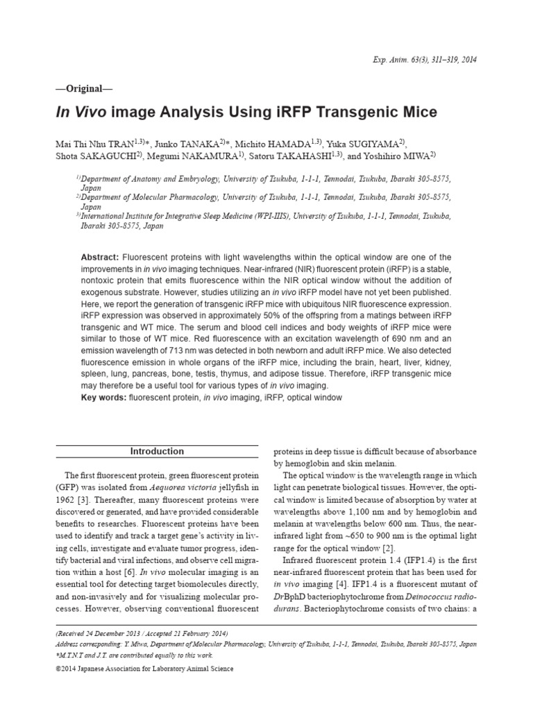 In Vivo Image Analysis Using IRFP Transgenic Mice | PDF | Green ...