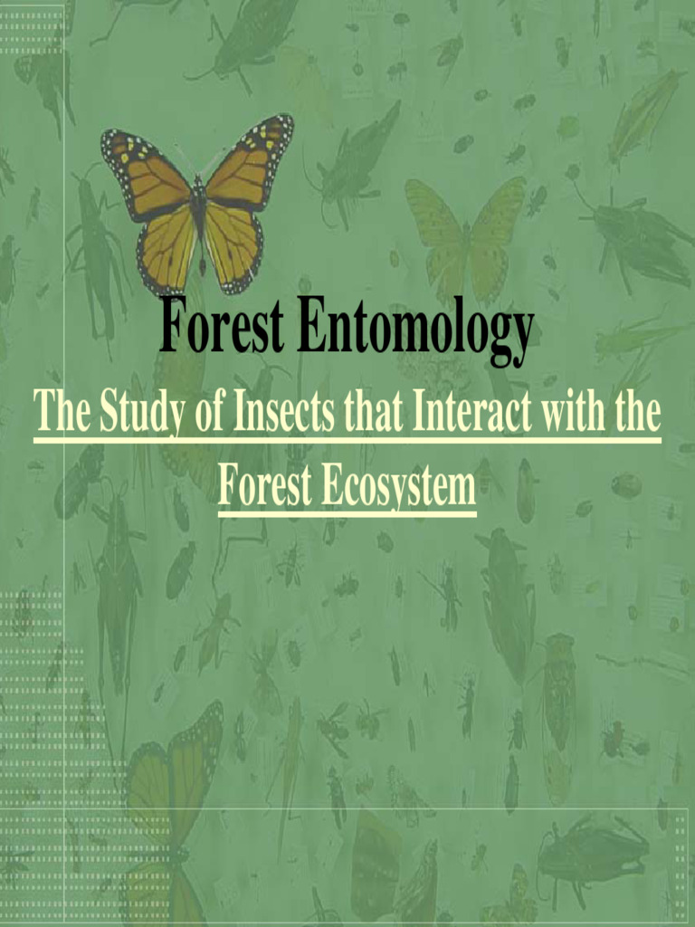 Laboratory 2-Entomology 2010 | PDF | Insects | Beetle