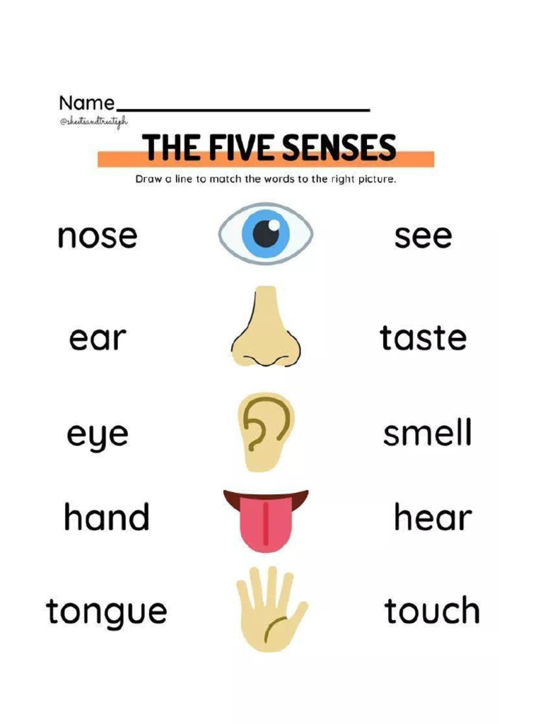 WS Body Part 4 | PDF