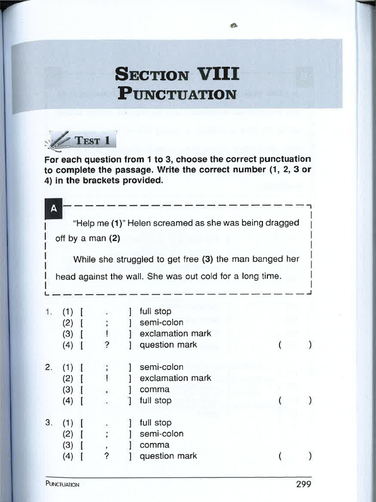 Section 8 Punctuations | PDF