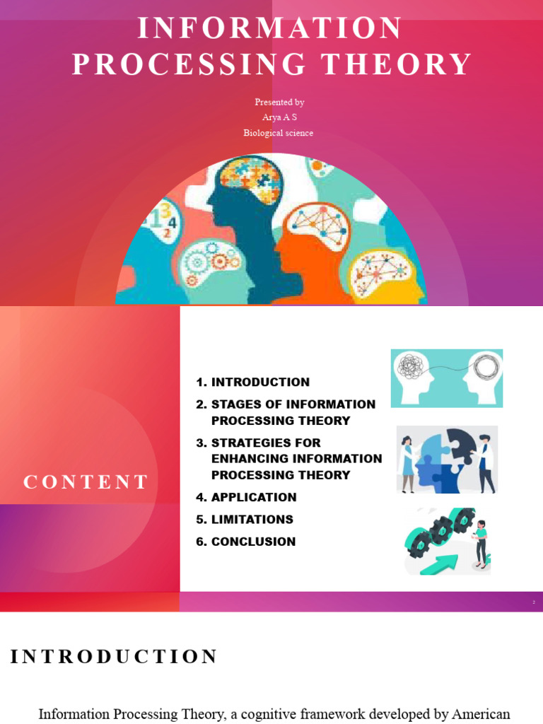 Understanding Information Processing Theory | PDF | Memory | Long Term ...