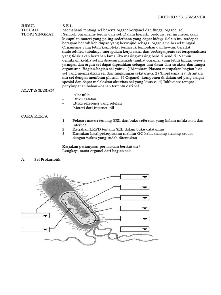 LKPD Sel | PDF | Sains & Matematika | Teknologi & Rekayasa