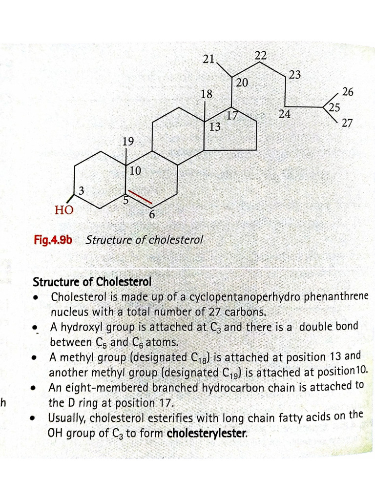 Structure of Cholesterol | PDF