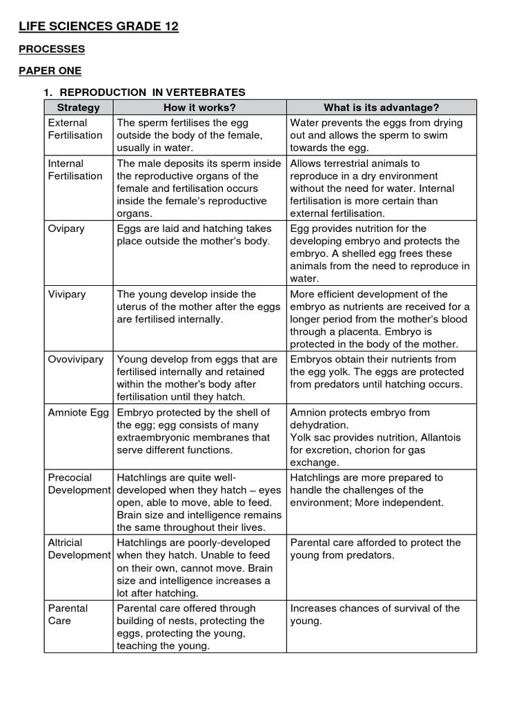 Processes Paper 1&2 Life Sciences Grade 12 | PDF | Meiosis | Dna