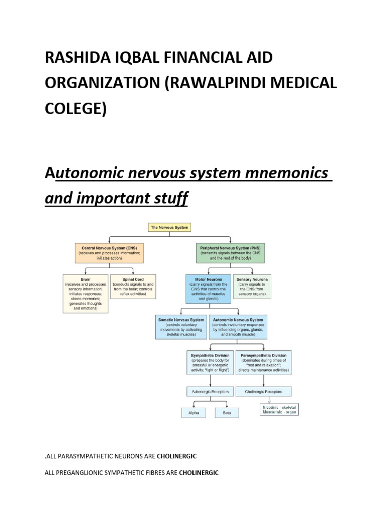 Autonomic Nervous System Mnemonics and Important Stuff | PDF ...