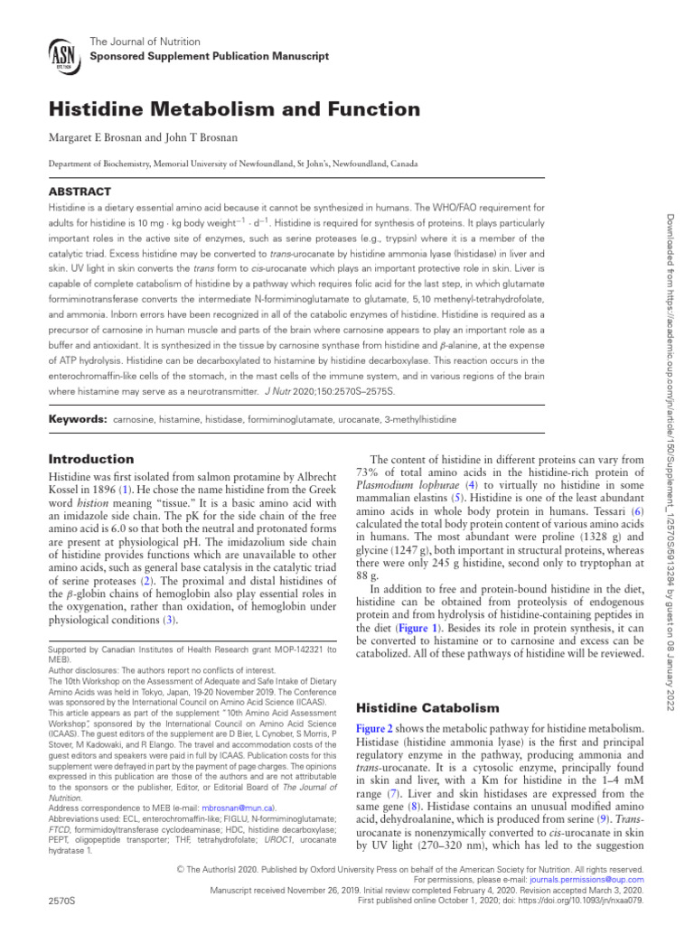 Histidine Metabolism and Function | PDF | Biochemistry | Chemistry