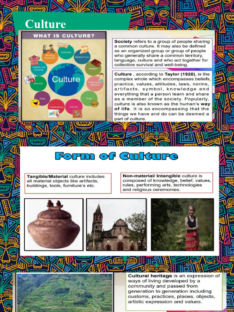 Week 1 What Is Culture | PDF | Lifestyle